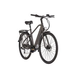 HOLLANDIA Alu E-Citybike Herren HOLLANDIA Mantova 28'' grau 7 G&auml;nge