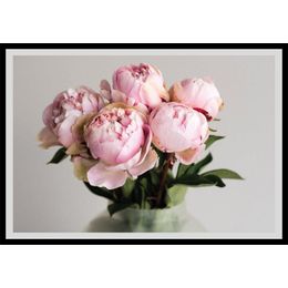 queence Bild Gudrun, Blumen, gerahmt, Rosen, rosa
