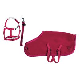 HKM Kids Kuscheltier Starterset -Cuddle Pony-