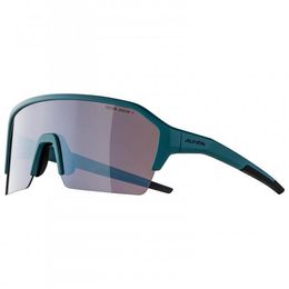 Alpina - Ram HR HM+ Hicon Mirror Cat 3 - Fahrradbrille grau