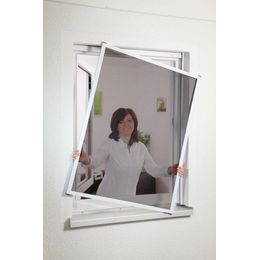 Hecht international Insektenschutz-Fensterrahmen MASTER SLIM POLLE, weiß/anthrazit, BxH: 100x120 cm, weiß