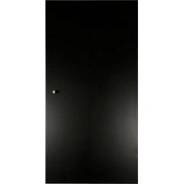 Hammel Furniture Türfront Mistral Kubus 062, Tür passend zur Sideboard & Bücherregal (1 St), für Korpus 025, 026, 116 und 117, Blick nach r. oder l., Breite: 32 cm, schwarz