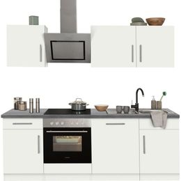 Wiho-Küchen wiho Küchen Küchenzeile Cali, mit E-Geräten, Breite 220 cm mit Hanseatic E-Geräten, grau|weiß