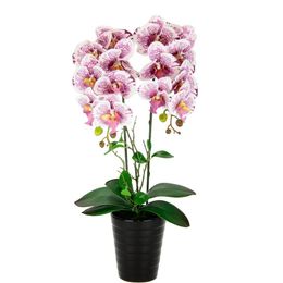 Kunstblume Orchidee, I.GE.A., Höhe 58 cm, Im Topf Phalaenopsis Orchidee Phalaenopsis mit Übertopf Hochzeit, rosa