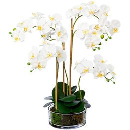Kunstorchidee Phalaenopsis im Glas Orchidee Phalaenopsis, Creativ green, Höhe 50 cm, weiß
