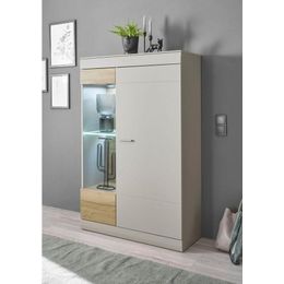 Inosign Vitrine SCARA mit Applikation Zinneiche Dekor, Breite 90 cm, mit Softclose-Funktion, grau