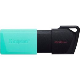 Kingston DATATRAVELER® EXODIA™ M 256GB USB-Stick (USB 3.2), schwarz