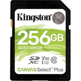 Kingston Canvas Select Plus SD 256GB Speicherkarte (256 GB, UHS-I Class 10, 100 MB/s Lesegeschwindigkeit), schwarz