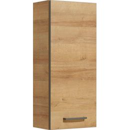 Saphir Hängeschrank Quickset 919 Badschrank 30 cm breit mit 1 Tür und 2 Glas-Einlegeböden Badezimmer-Hängeschrank inkl. Türdämpfer, Griffe in Grau, beige