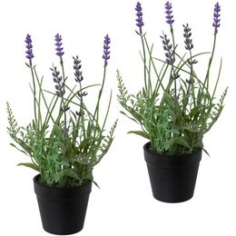 Kunstpflanze Lavendel, Creativ green, Höhe 25 cm, 3er Set, im Kunststofftopf, lila