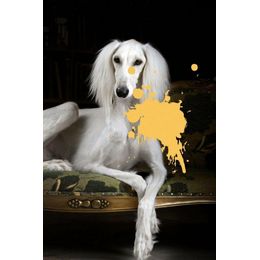 queence Acrylglasbild Hund, gelb