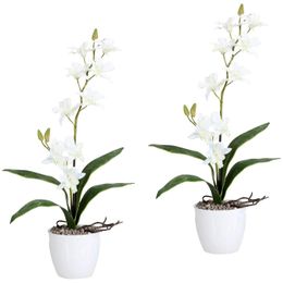 Kunstpflanze Orchidee Dendrobie Orchidee, Creativ green, Höhe 60 cm, im Keramiktopf, weiß