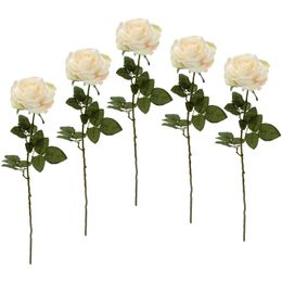 Kunstblume Rose, I.GE.A., Höhe 68 cm, 5er Set, beige