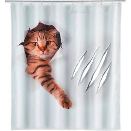 Wenko Duschvorhang Cute Cat Breite 180 cm, Höhe 200 cm, Polyester, waschbar, bunt