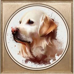 queence Acrylglasbild Hund, beige