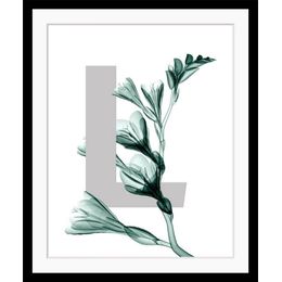 queence Bild L-Flower, Buchstaben, Blätter, gerahmt, Blume, grau|grün
