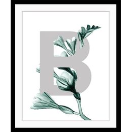 queence Bild B-Flower, Buchstaben, gerahmt, Blätter, Blume, grau|grün