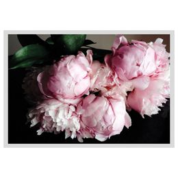queence Bild Gunni, Blumen, gerahmt, Rosen, rosa