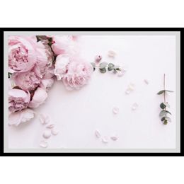 queence Bild Grete, Blumen, Rosen, gerahmt, rosa