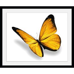 queence Bild Maria 3.0, Schmetterlinge (1 St), gelb