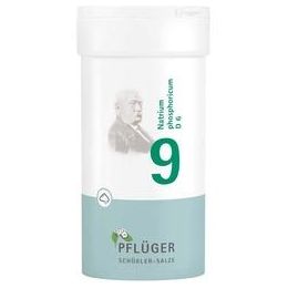 Pflüger® Biochemie Pflüger 9 Natrium phosphoricum D 6 Pulv. 100 g