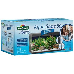 Dehner Aquarien-Set Aqua Start 80