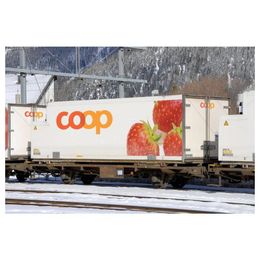 KATO Güterwagen Container Coop Erdbeere WAB26 & Salat WAB30