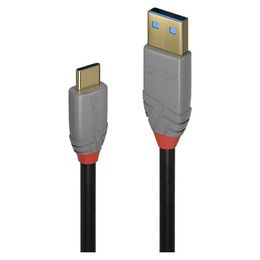 Lindy USB Kabel 0.5 m USB-C®® USB A USB-Kabel