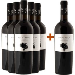 Podere 29 2021 5+1 Paket Gelso Nero Nero di Troia IGP trocken Bio