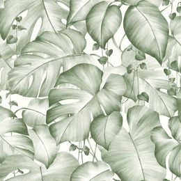 A.S. Création Dschungel Vliestapete weiß grün | Palmenblätter Tapete mit Monstera Muster in Olivgrün | Vlies Palmentapete im Urban Jungle Stil für Wohnzimmer