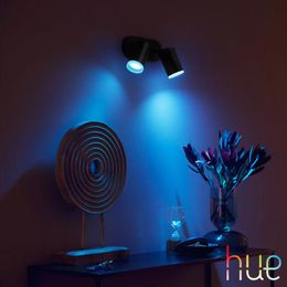 Philips Hue White & Color Ambiance Fugato Spot/Deckenleuchte, 2-flammig, 8718696171523,