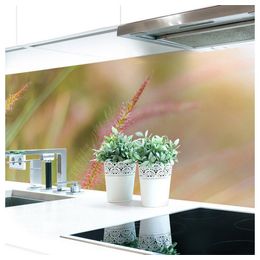 DRUCK-EXPERT Küchenrückwand Küchenrückwand Gras Blüte Hart-PVC 0