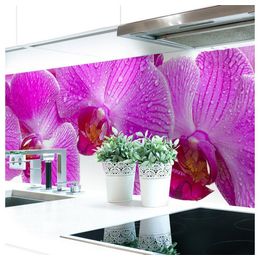 DRUCK-EXPERT Küchenrückwand Küchenrückwand Orchideen Blüte Hart-PVC 0
