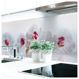 DRUCK-EXPERT Küchenrückwand Küchenrückwand Orchidee Hart-PVC 0