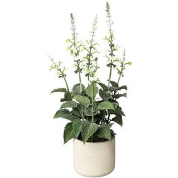 Kunstpflanze Salvie im Zementtopf Salvie, Creativ green, Höhe 45 cm, weiß