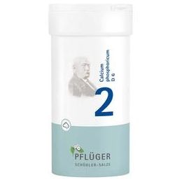 Pflüger® Biochemie Pflüger 2 Calcium phosphoricum D 6 Pulv. 100 g