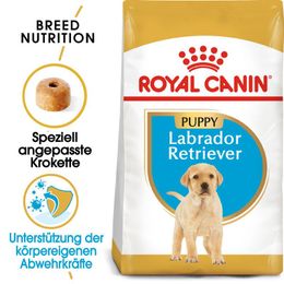 Royal Canin Labrador Retriever Puppy 3 kg