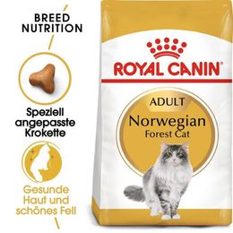 Royal Canin Norwegian Forest Adult 10 kg
