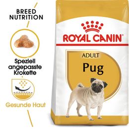 Royal Canin Mops Adult 3 kg