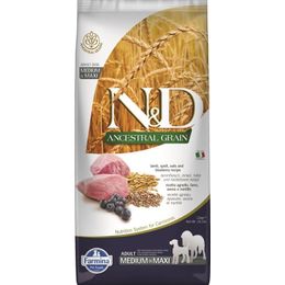 N&D Farmina FARMINA N&D Dog ANCESTRAL GRAIN Adult Medium/Maxi Lamm, Dinkel und Heidelbeere 12kg