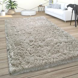 Hochflor Teppich Wohnzimmer Shaggy Pastell Einfarbig Weich Flauschig Grau 160x220 cm - Paco Home