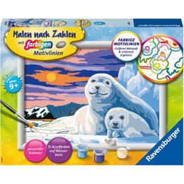 Ravensburger Malen nach Zahlen Niedliche Robben, Made in Europe; FSC® - schützt Wald - weltweit, bunt