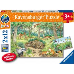 Ravensburger Puzzle Wieso? Weshalb? Warum? Junior, Tiere im Wald und auf der Wiese, 24 Puzzleteile, 2 x 12 Teile; Made in Europe; FSC® - schützt Wald - weltweit, bunt