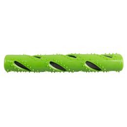 Dehner Tier-Beschäftigungsspielzeug Green Fetch Stick