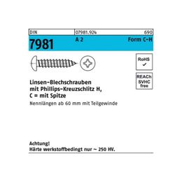 Reyher Blechschraube 1000er Pack Blechschraube DIN 7981 LIKO PH C 2