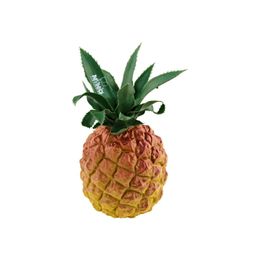 MEINL Percussion Shaker,NINO595 Botany Fruit Shaker Ananas