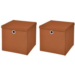 StickandShine Faltbox 2 Stück 32 x 32 x 32 cm Faltbox mit Deckel Stoffbox Aufbewahrungsbox (4er SET 32x32x32) in verschiedenen Farben 32cm