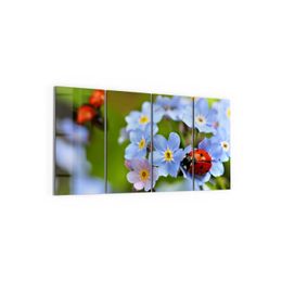 DEQORI Glasbild 'Marienkäfer liebt Blüten'