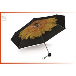 Pierre Cardin Taschenregenschirm extra kleiner Taschenschirm schwarz Innendruck Sonnenblume manuell
