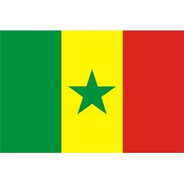 trends4cents Flagge XXL Flagge Senegal 250 x 150 cm